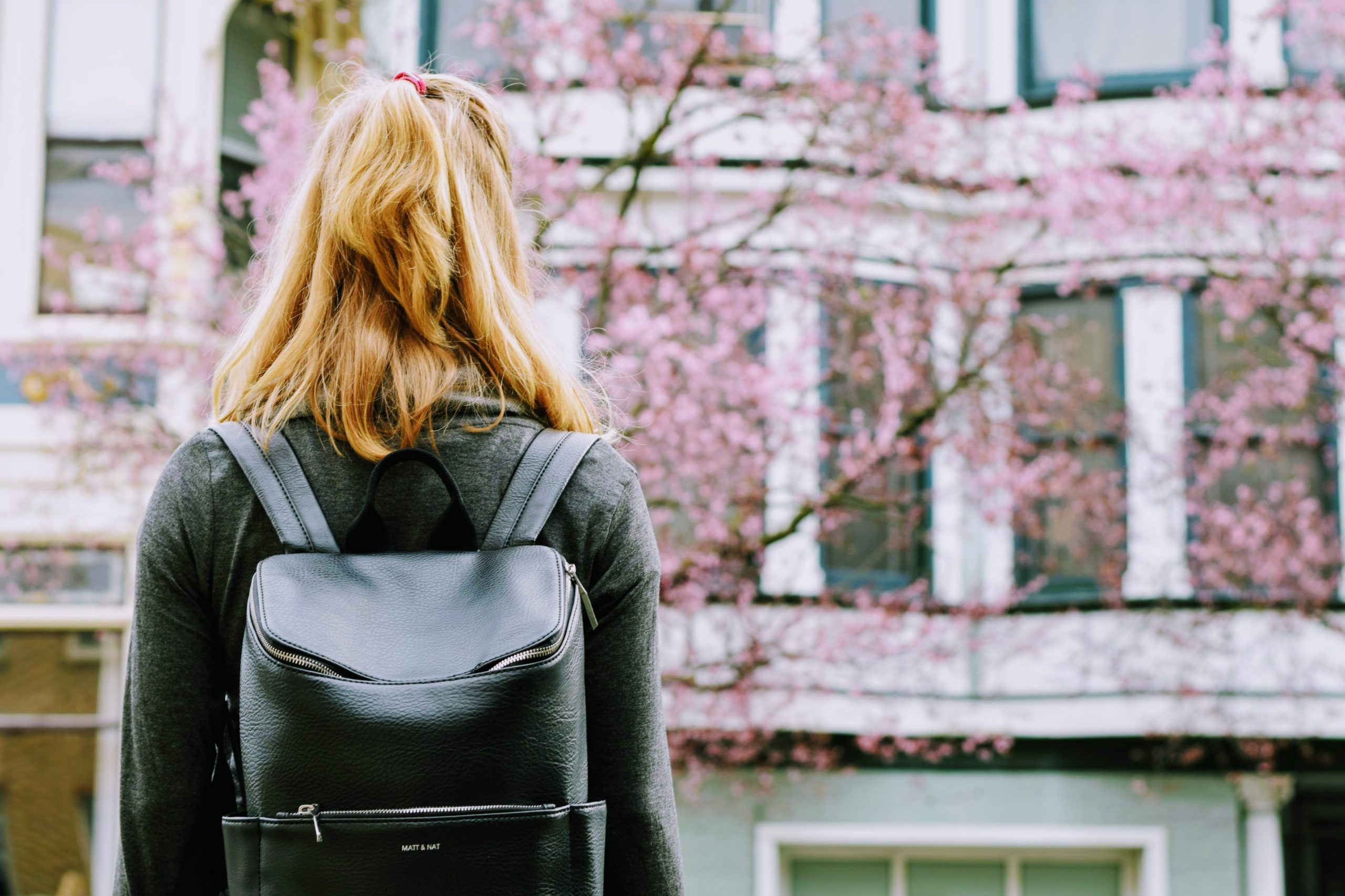 Differences Between Public And Private Colleges differences-between-public-and-private-colleges